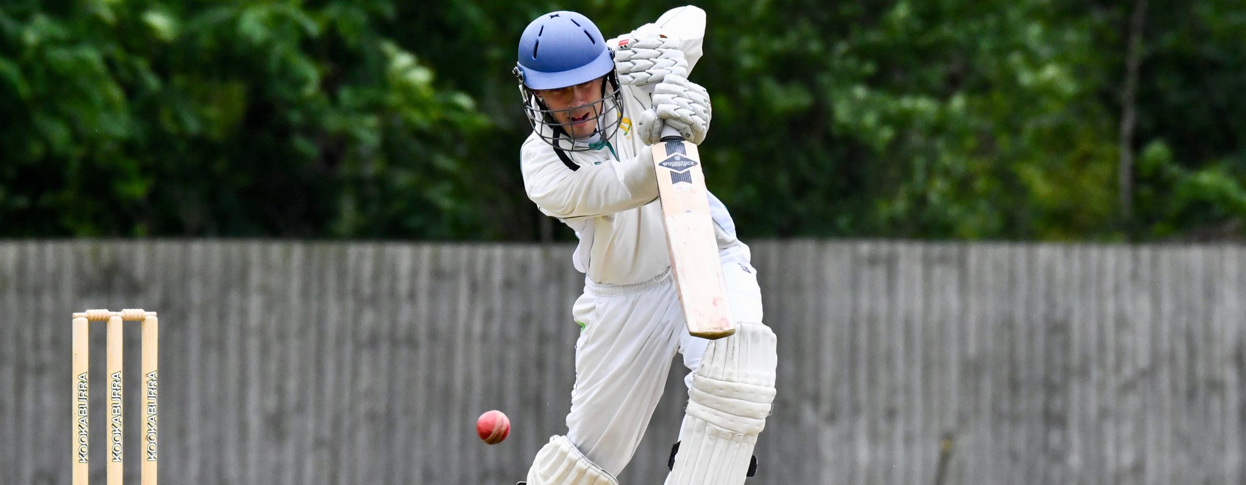 Shropshire complete signings of Charlie Hartley and Alex Phillips ahead ...